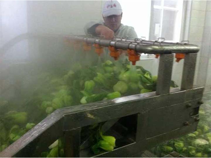 Mengapa kita perlu melakukan proses blansing saat membuat keripik ...